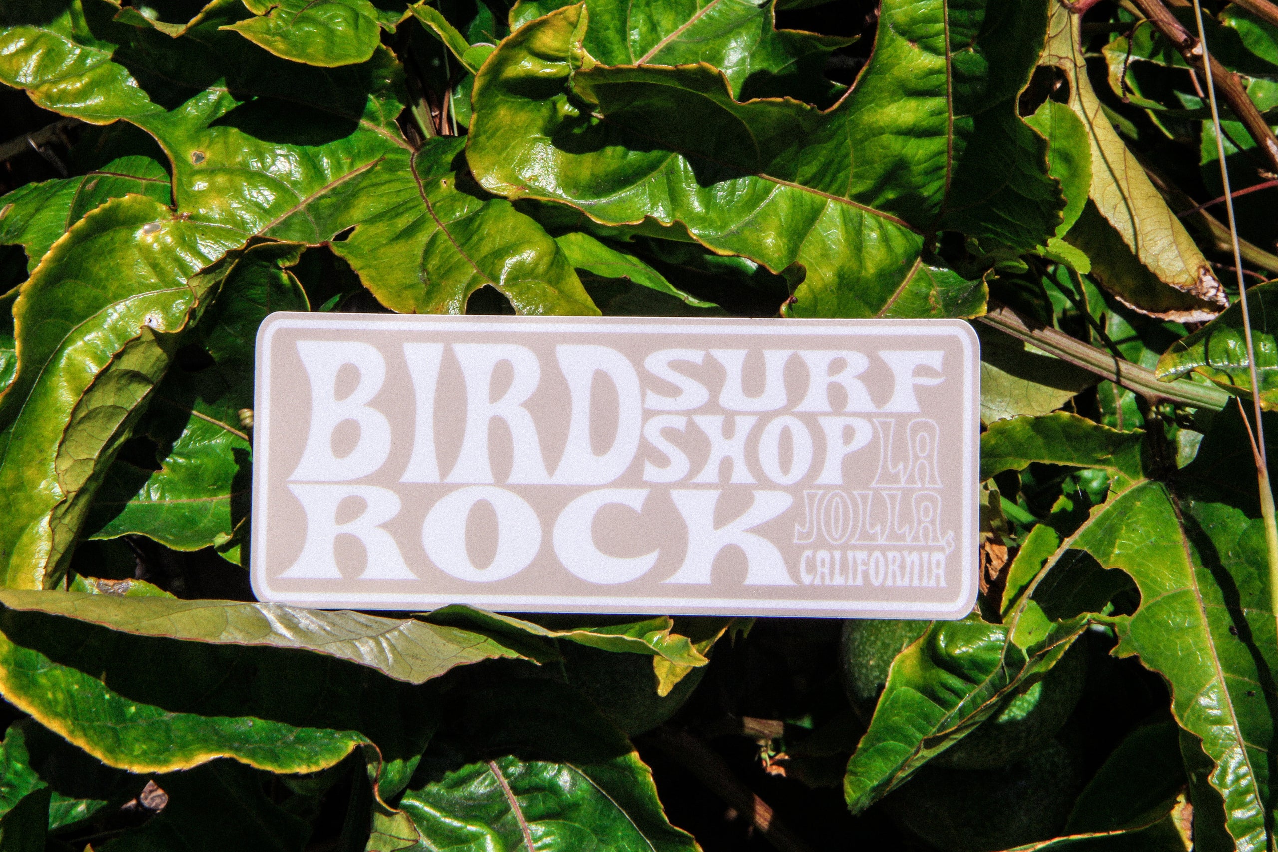 Bird Rock Surf Shop - RR Sticker | Bird Rock Surf Shop